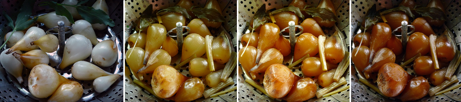 Wild Harvests: How to Cook Camas