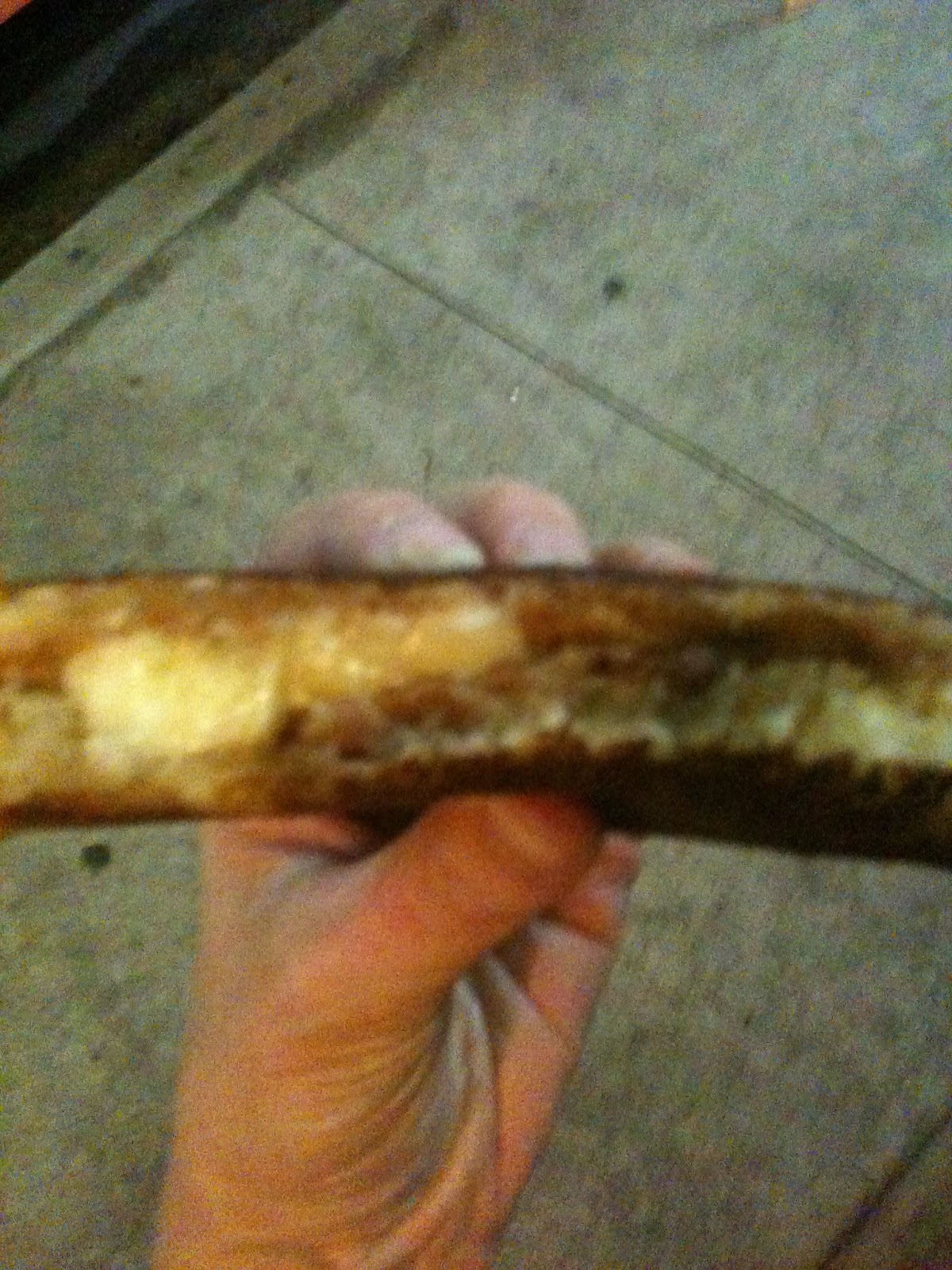 The Foodess Files: Peanut Butter Werewolf