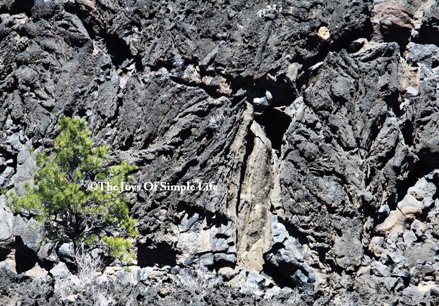 The Joys of Simple Life: Sunset Crater Volcano National Monument