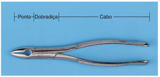 PRINCIPIOS DE EXODONCIA