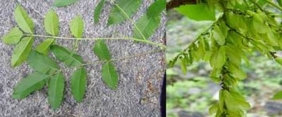 VIVE HUAQUILLAS UTMACH: PUERTO HUALTACO por: Johana Carrión