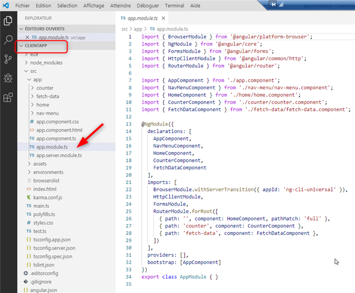 ASP.NET C#: Angular CLI Tuto rapide