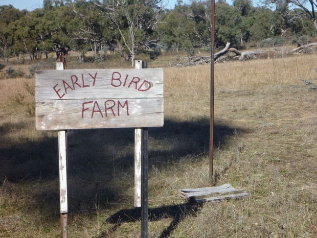 Early Bird Farm: Early Bird Farm