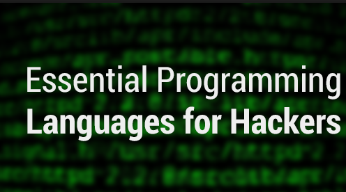 Programming Languages For Hackers And Learn It From Most 6 Helpful ...
