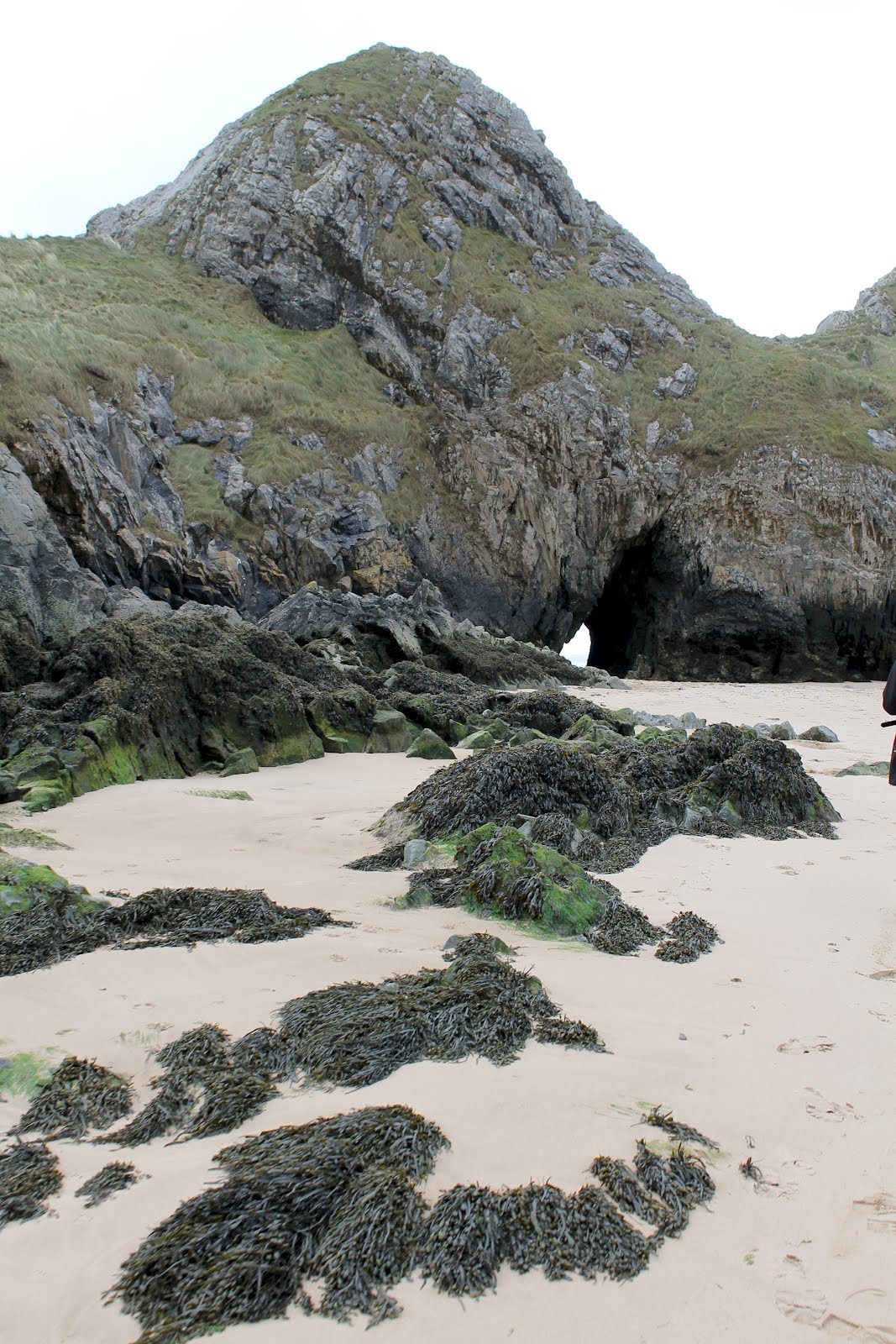 Alexa Aldrich: Wale of A Tale.