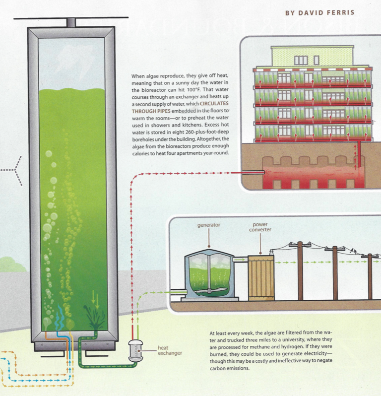 The Unstable Nucleus: Algae Haus