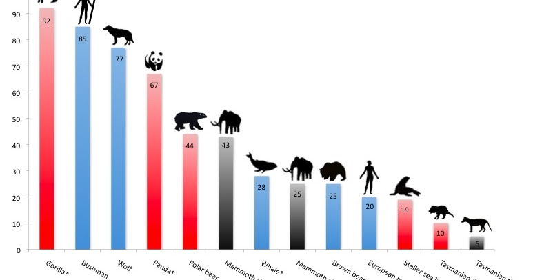 #146 Assessing species diversity | Biology Notes for A level