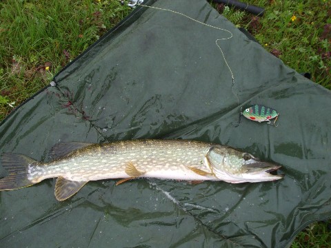 Homemade Lures On Test Again | How To Make Fishing Lures