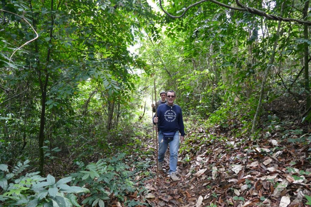 séjour au Gabon: De La Lékédi à Léconi