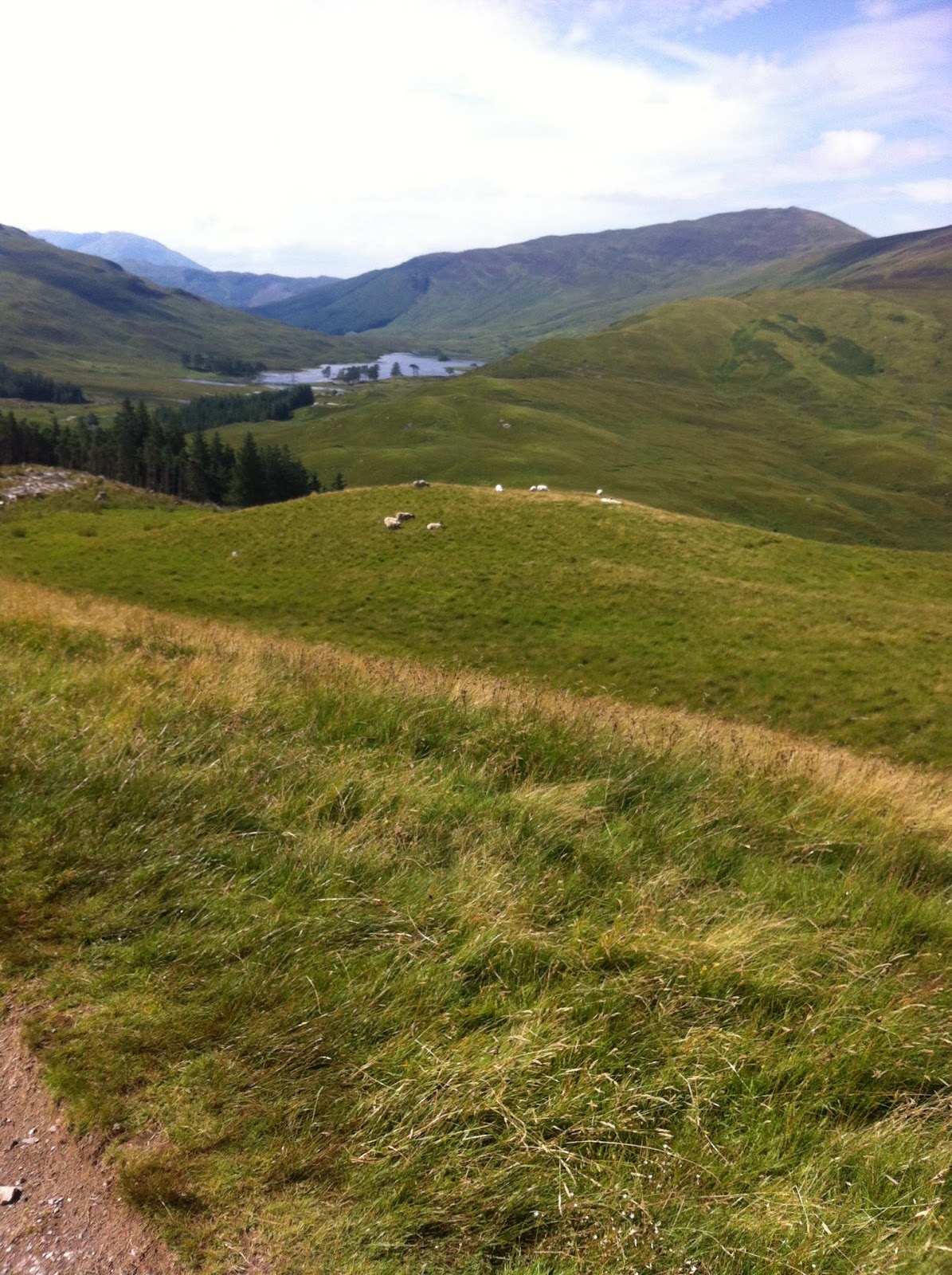 Wild meets Outlander