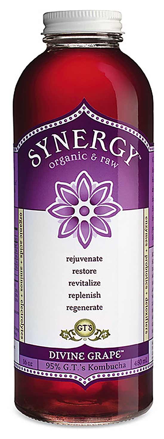 Hot Ink: G.T. Dave's Enlightened Raw Kombucha: Out-Hippy Your Friends!