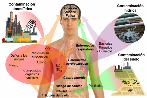 Venenos en el cuerpo, Intoxicados por todas partes - Apkallu Misterios