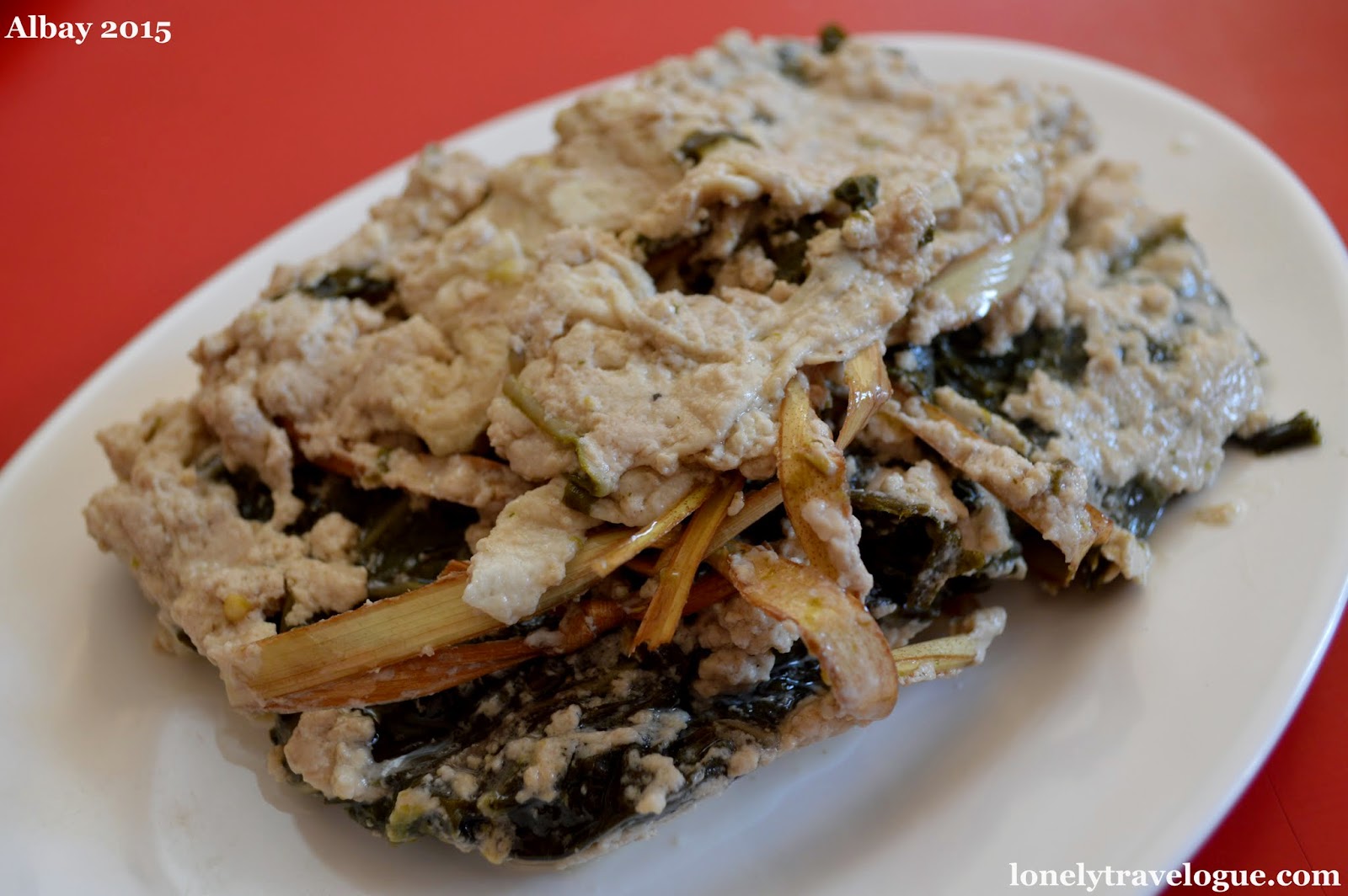 Camalig Albay and Pinangat - Lonely Travelogue