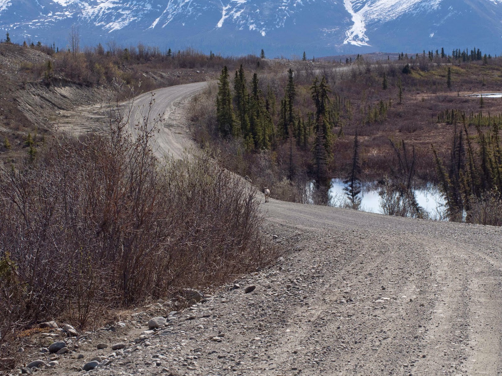 Completing Our Journey: The Denali Highway.... The Quietest of all ...