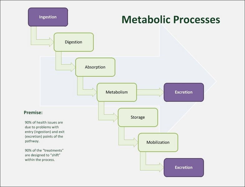 Naturopathic Foundations: Eliminating Toxins - Top 5 Things to Remember