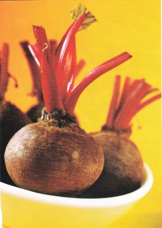 Mengenal Bit, Khasiat Dan Manfaat Untuk Kesehatan - ragam manfaat