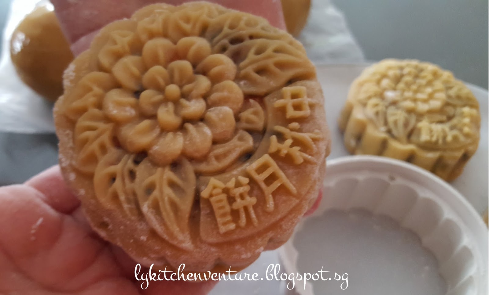 LY's Kitchen Ventures: Five Kernel Mooncake (五仁月饼)