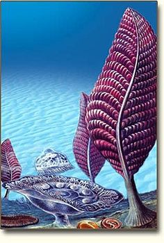 Escenarios prehistóricos: Charniodiscus