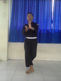 Wahyudi Erdian: TEKNIK-TEKNIK DASAR PENCAK SILAT
