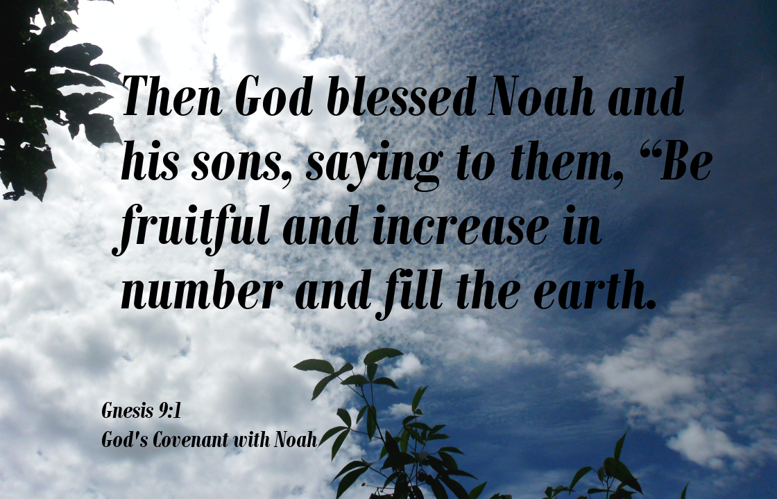Genesis 9:1 God’s Covenant With Noah