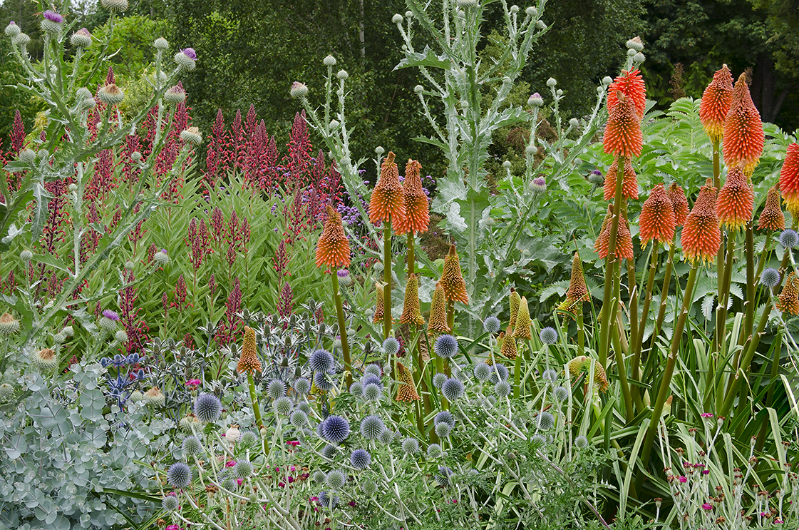 Linda Cochran's Garden: Front Border in High Summer