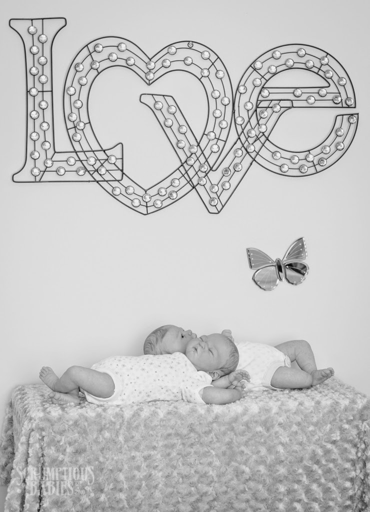 Scrumptious Babies by Fiona Lester