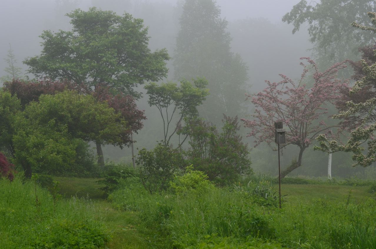 Flower Hill Farm: Drops Of Time Caught In The Mist Garden Facades