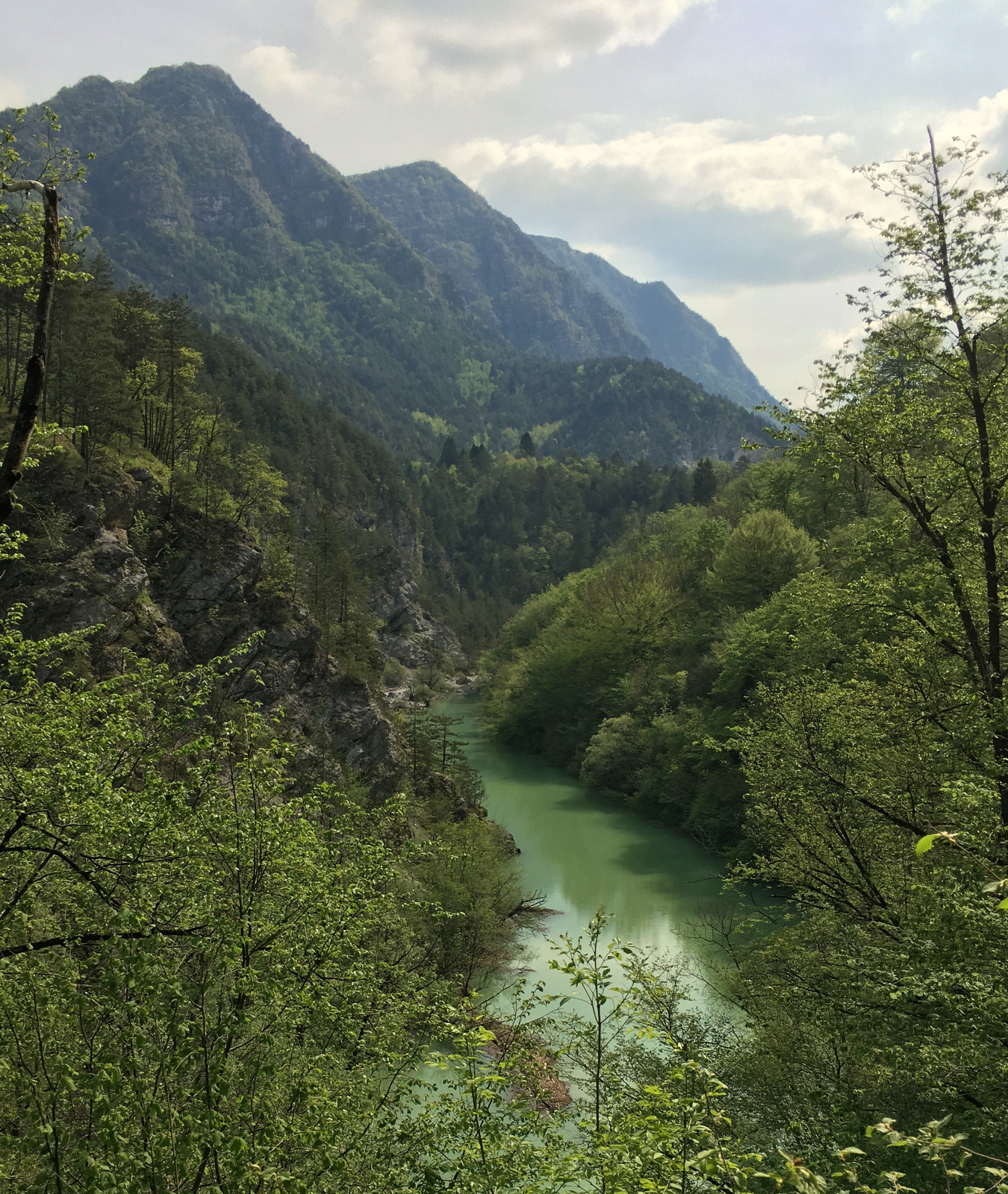 Cycling Dolomiti Friulane: Forchia Piccola - Monte Valinis