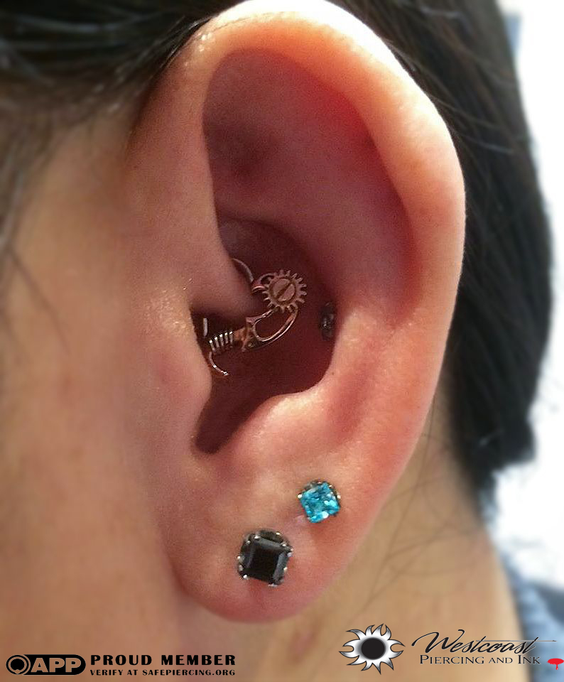 Rook Piercing Oreille Anti Helix