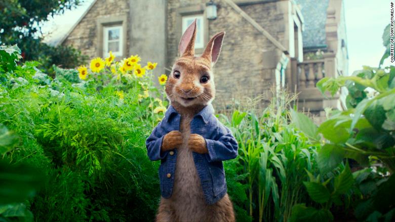 The Cool Science Dad: Peter Rabbit