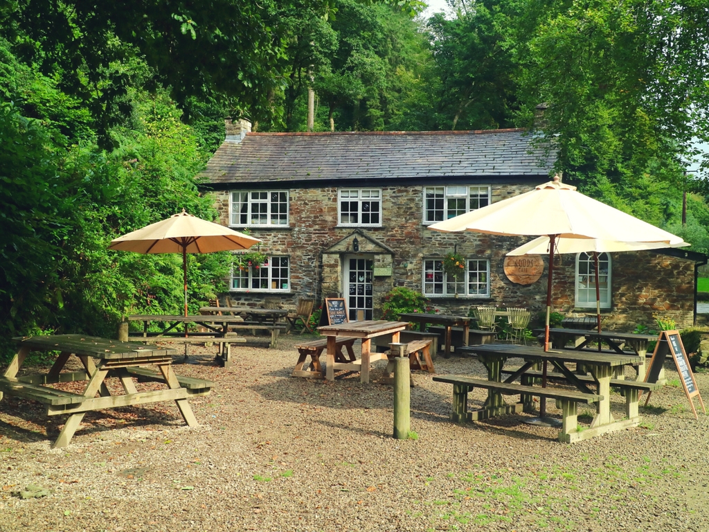 Exploring Cardinham Woods | The Freckled Fieldnotes