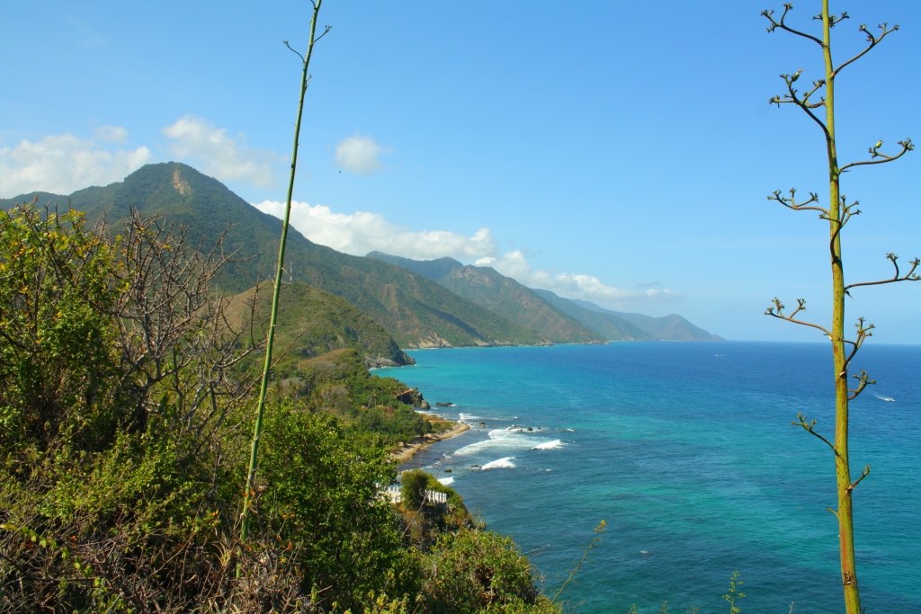 Tête de Rippyz: Venezuela : Choroni du 11 au 14 février 2012