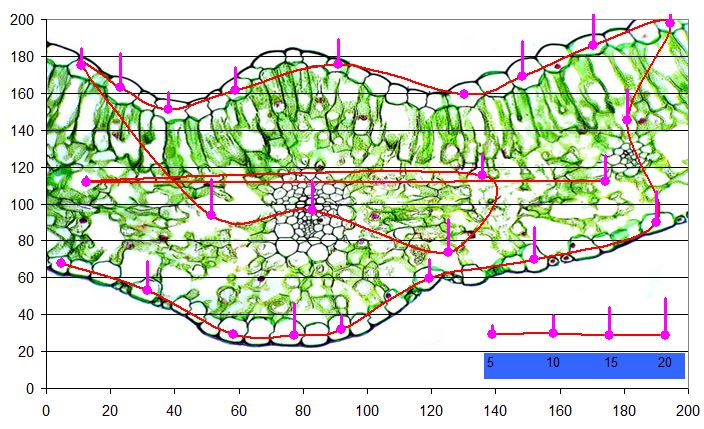 Advanced Graphs Using Excel : overlay plots over pictures (such as ...