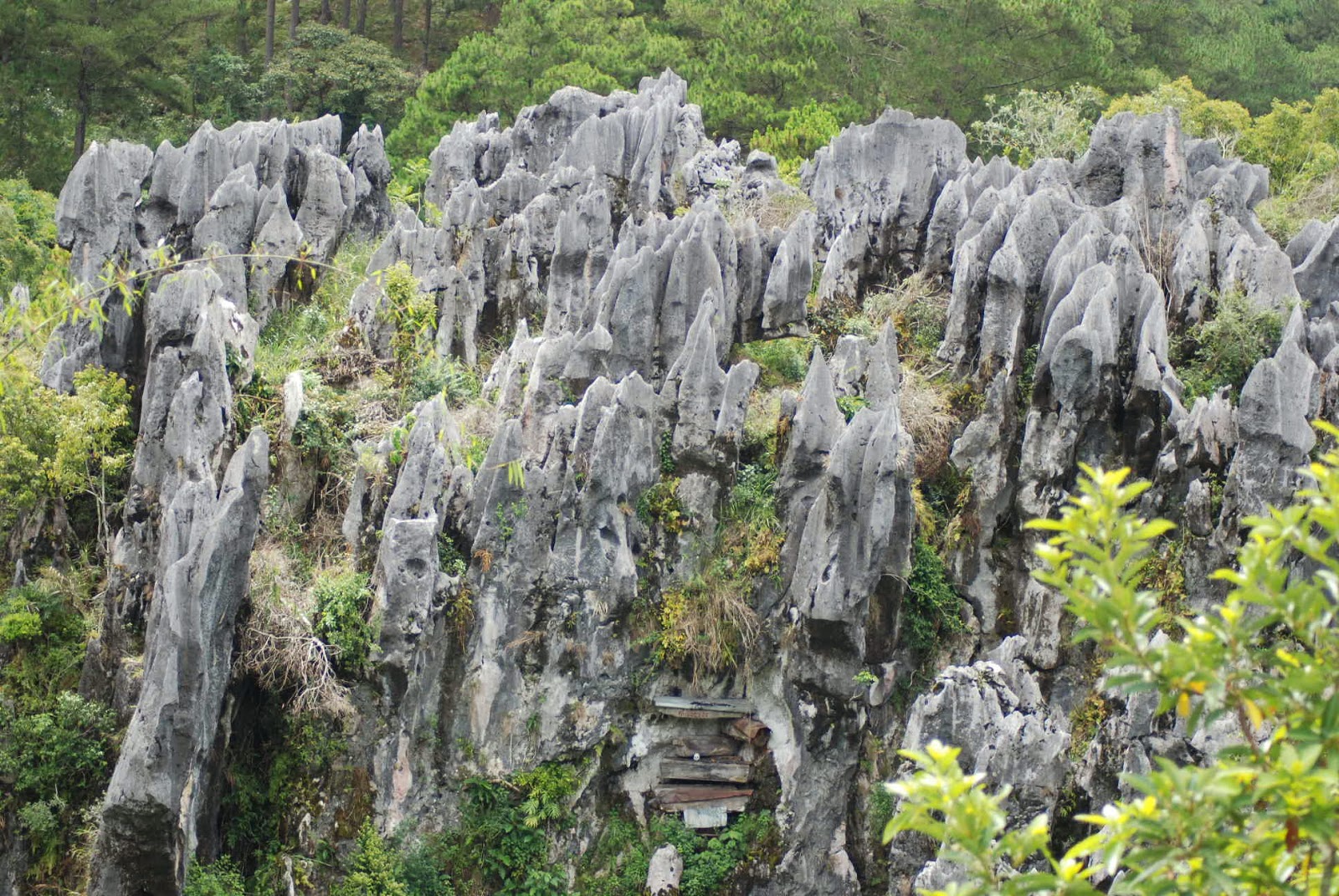 TRAVEL CENTRAL PHILIPPINES: Sagada -- Places in the Philippines You ...