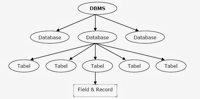 Yucan Media Pratama: Beberapa Istilah Dalam Database dan Hirarkinya