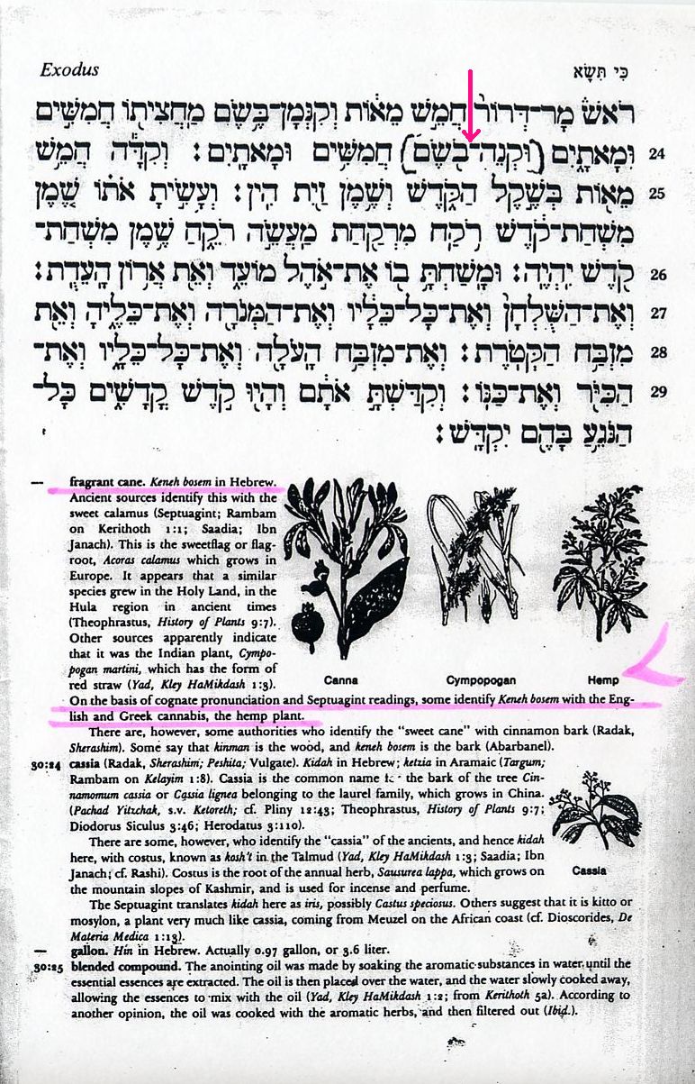 ELIZABETH'S REALM: Holy Smoke: Cannabis in the Word of God