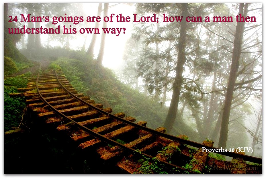 Red Pill Diaries: Proverbs 20 (KJV)