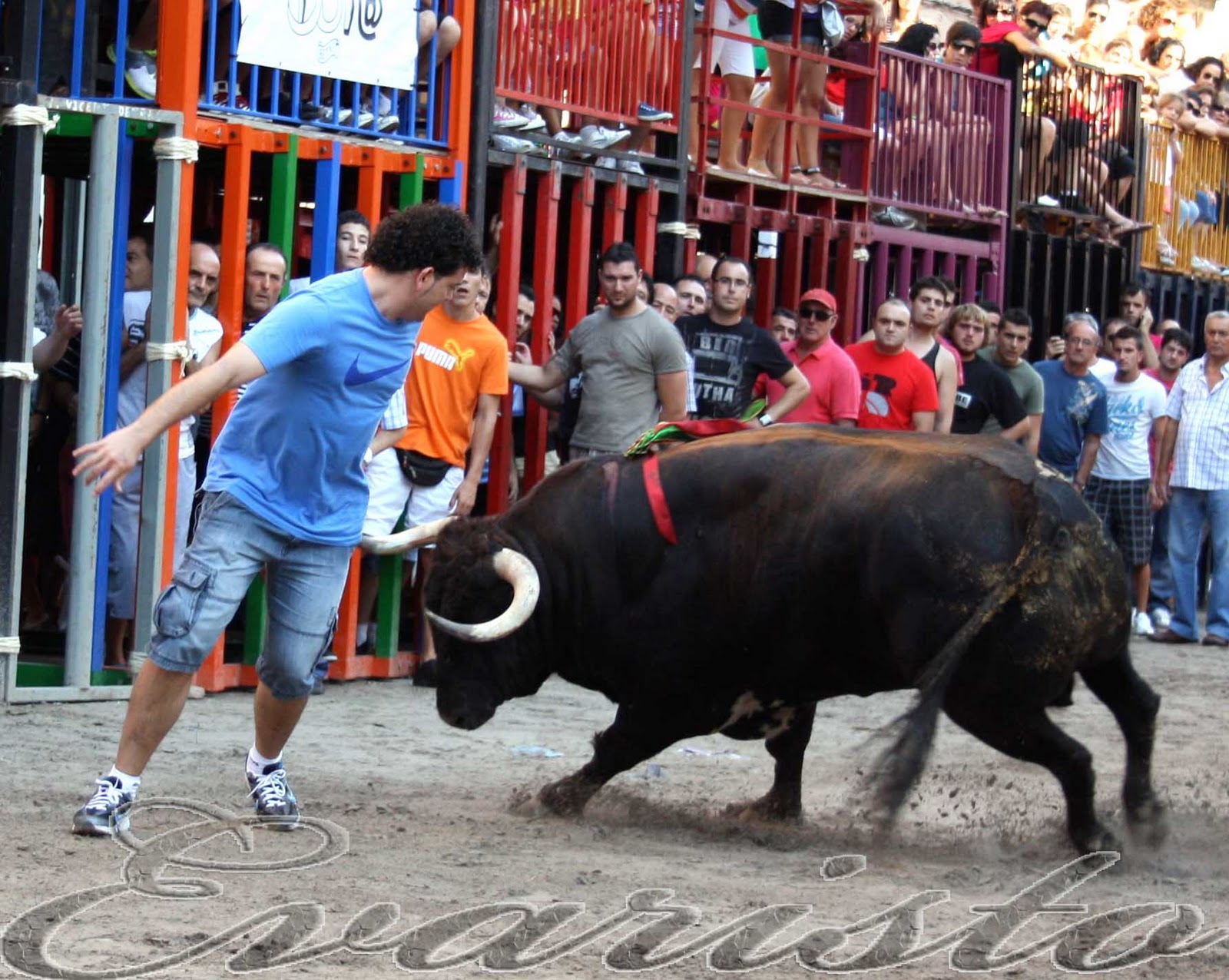 Fotos Taurinas Evaristo Domingo: Fiestas Patronales de Betxí. Toros ...