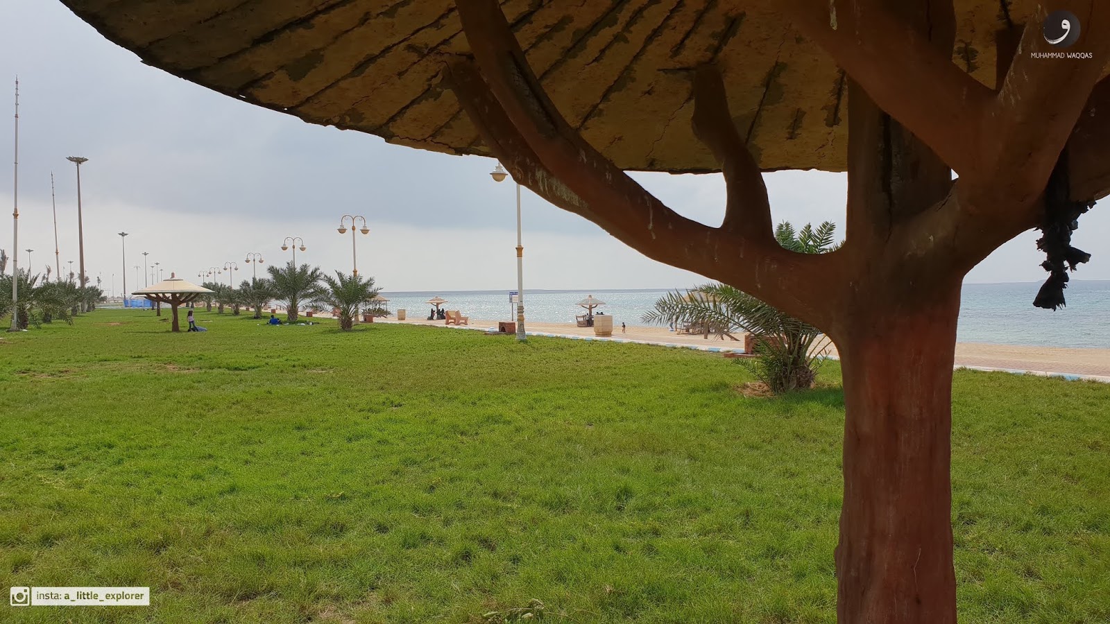 The Little Explorer’s Guide To: Farasan Island