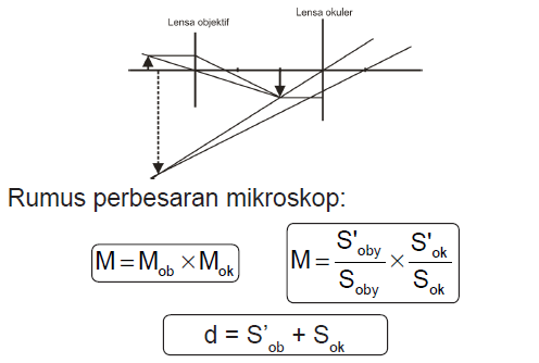 Kegunaan Mikroskop, Lensa Mikroskop dan Rumus Mikroskop