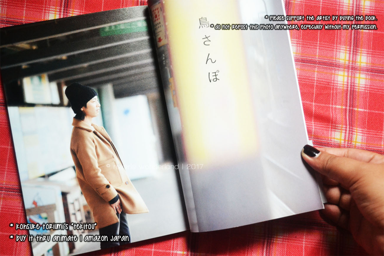 Kousuke Toriumi's 20th Anniversary Book - Tekitou - Reverie Wonderland