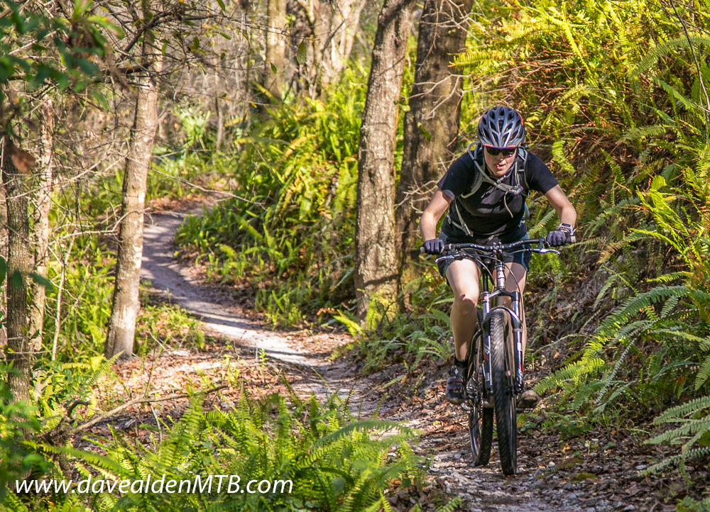 Balm Boyette Scrub Preserve Mountain Bike Trails, Lithia, Florida