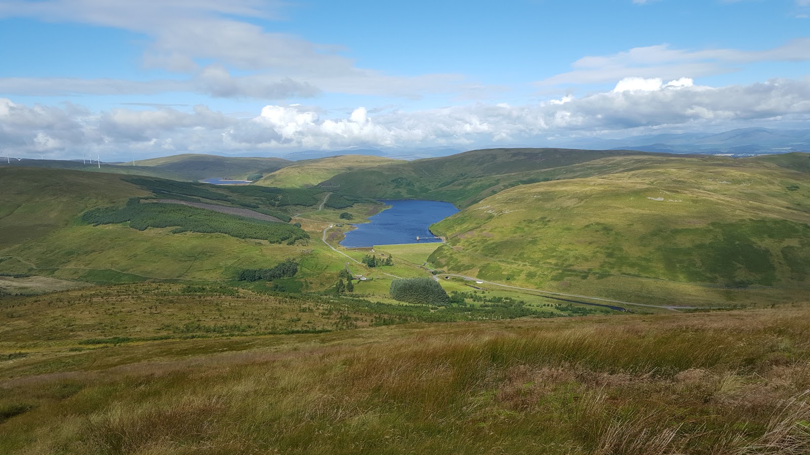 Neil's Hillwalking Exploits: Ben Shee (Ochils)