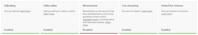 Enable Monetization if Disabled by YouTube - Computer and Technology