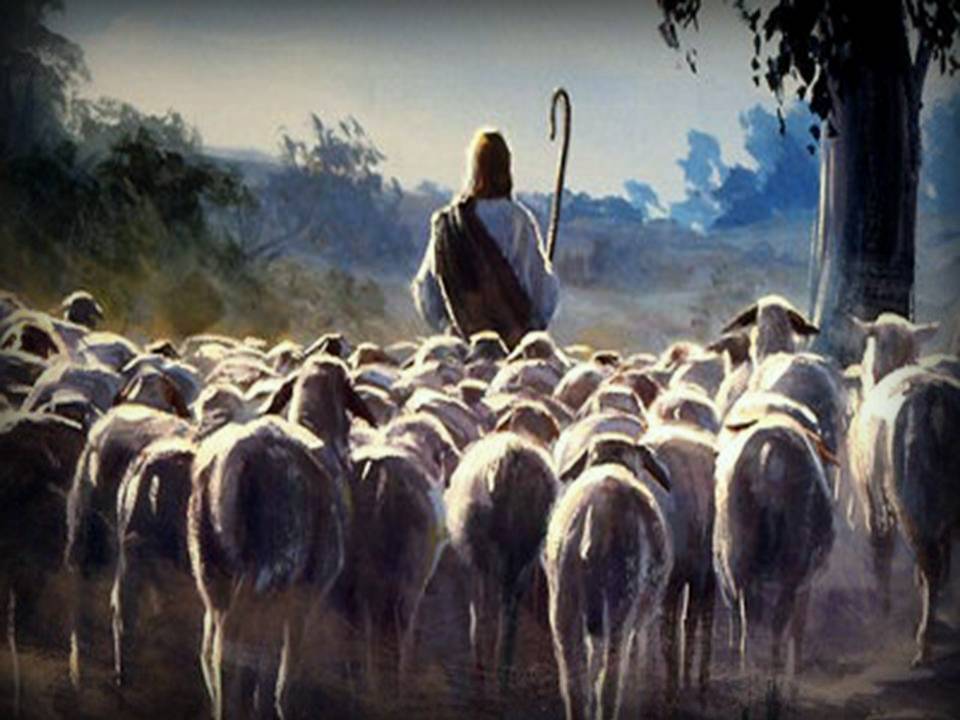 SELEÇÃO DOS MELHORES ESTUDOS BIBLICOS: Reconhecer a Voz do Pastor!