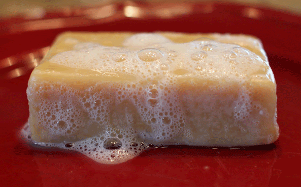 garden: Sopy Wallpapers for Desktop Background