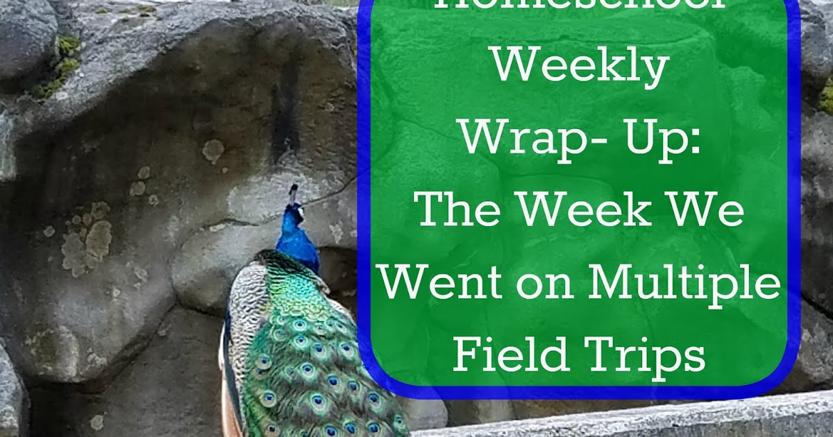 Weekly Wrap- Up: The Week I Changed the Format
