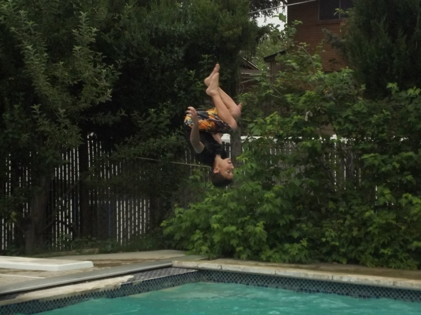 The Munkeys: Swimming at Kristi's