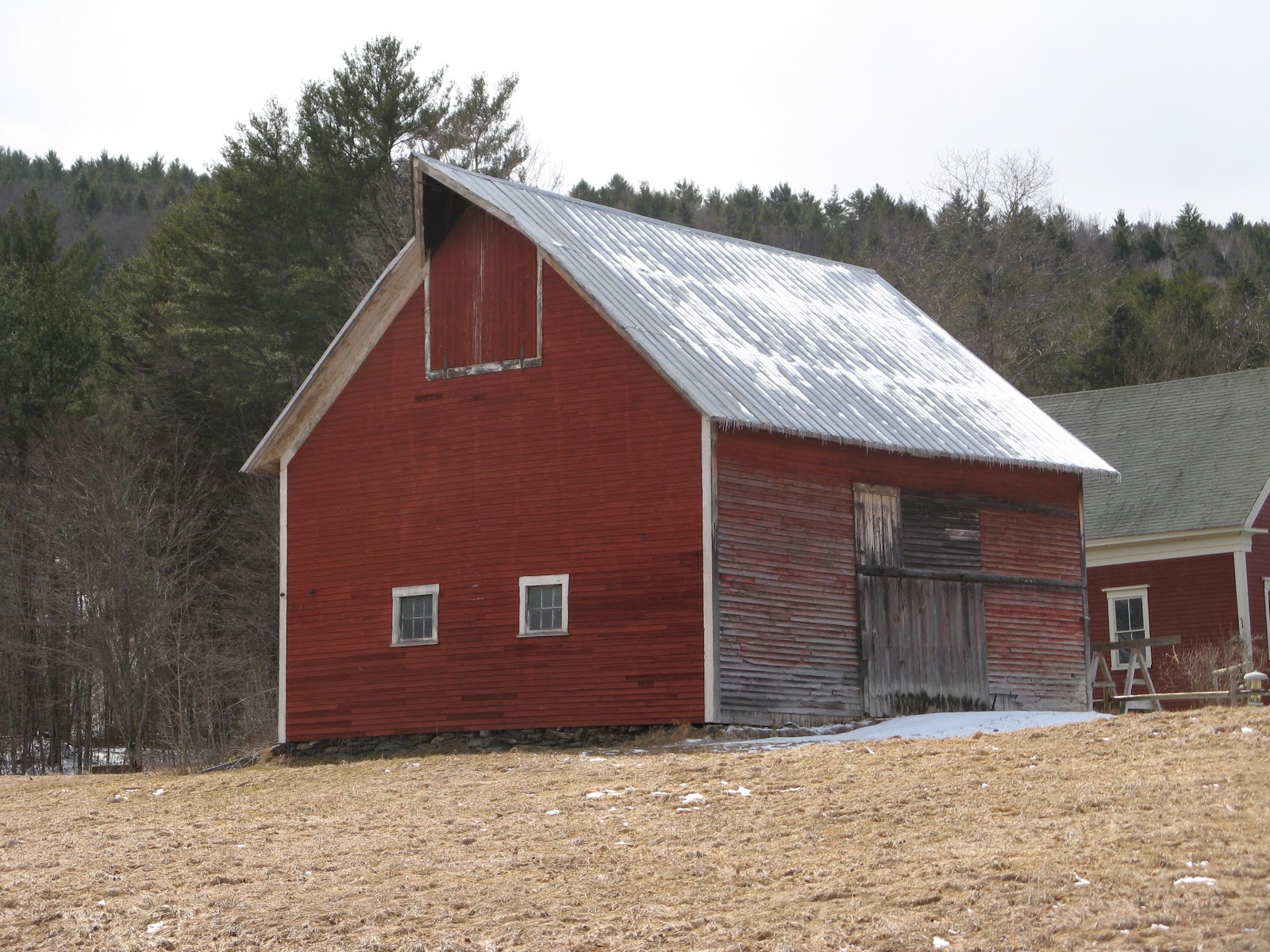 Animal Instinct: April Barns