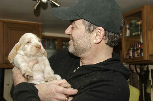 PERROS Y GATOS FAMOSOS: MÚSICOS & CANTANTES Y SUS PERROS Y GATOS.